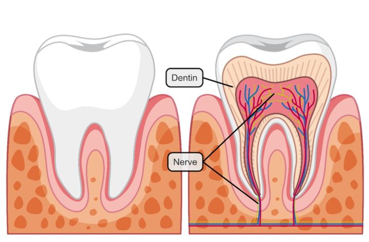 The Science Behind Tooth Sensitivity: Causes and Cures | Angella ...